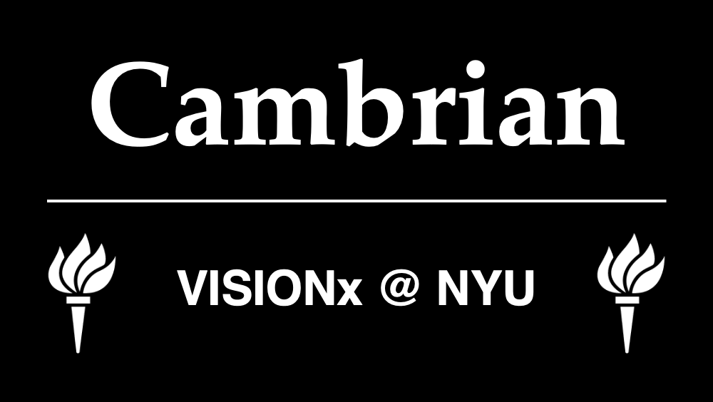 Cambrian Visionx Nyu